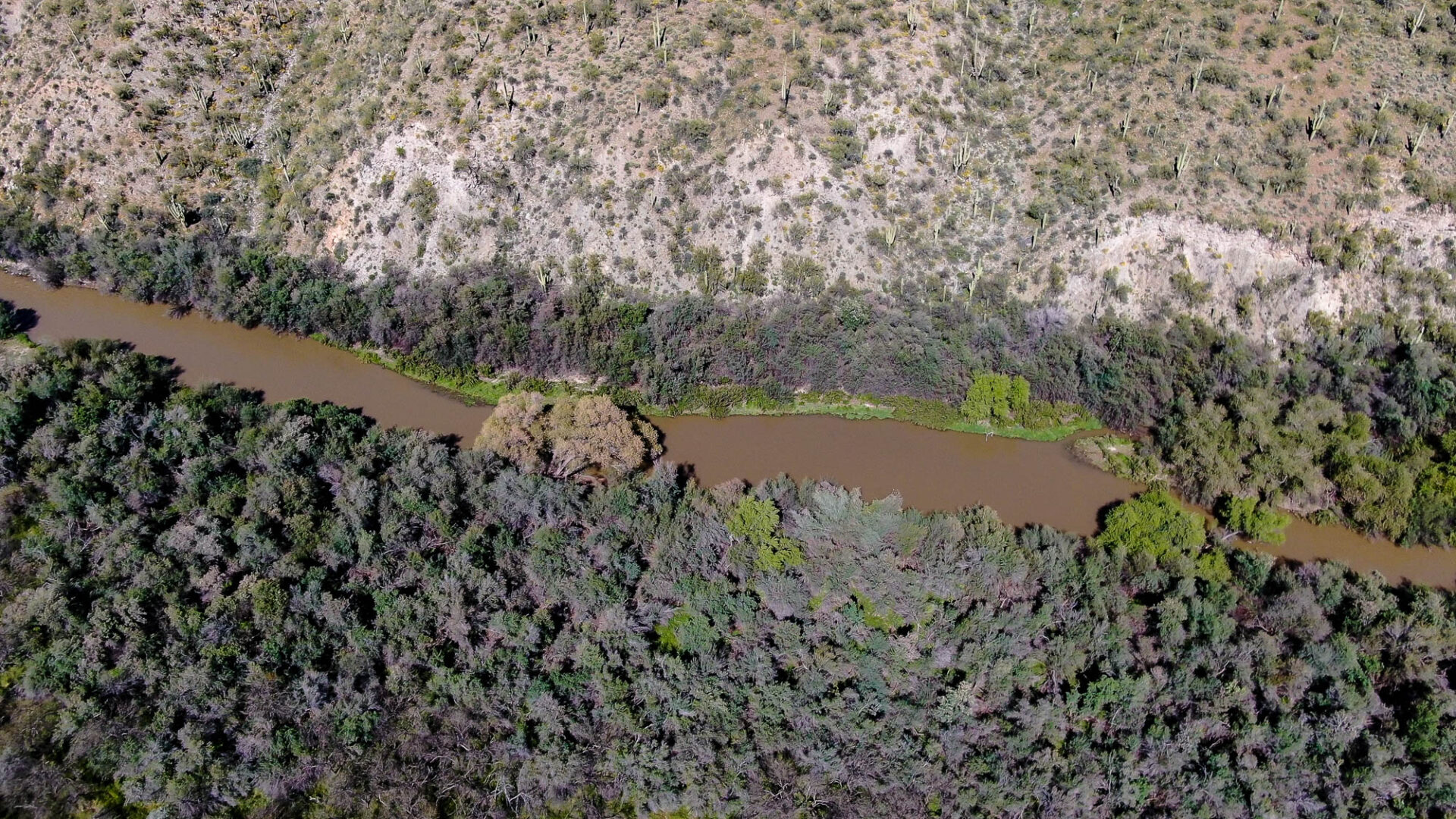 Gila River, Arizona drone video and photos - The Water Desk