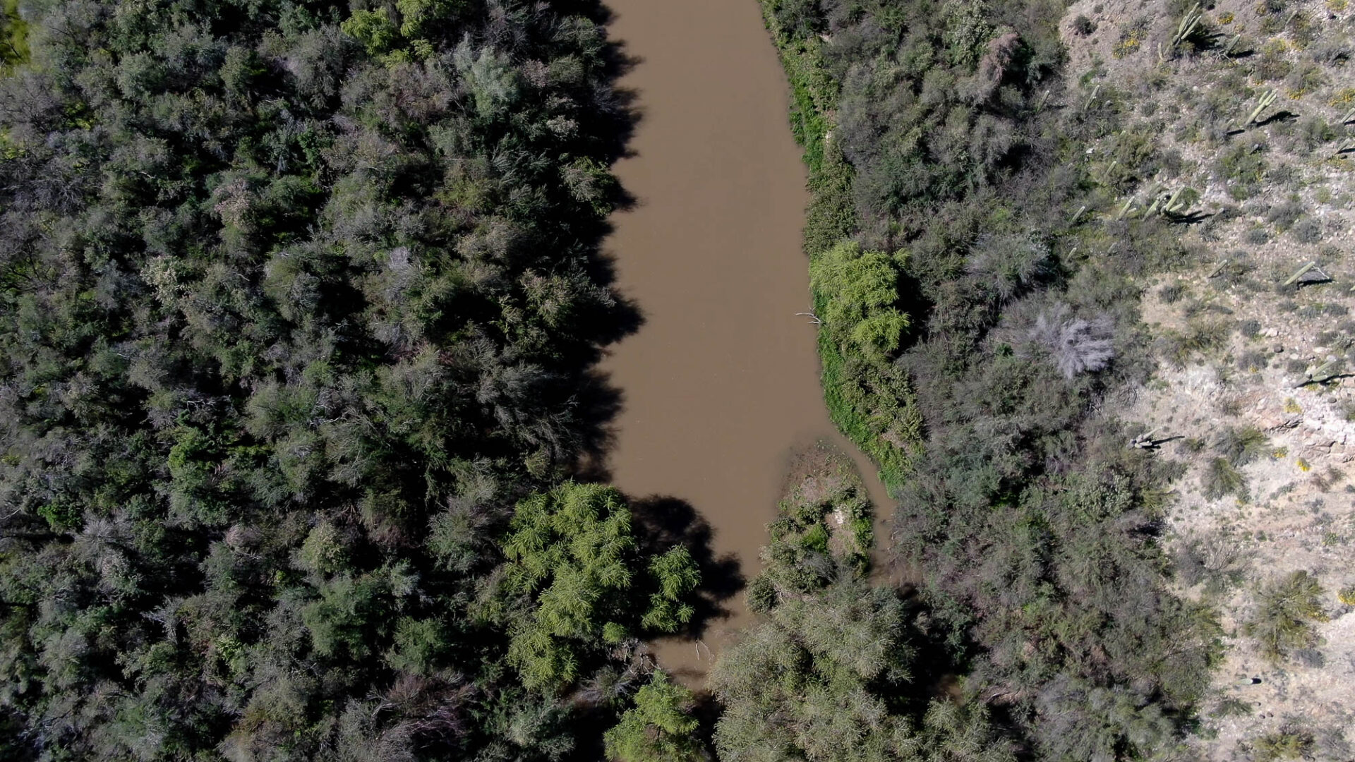 Gila River, Arizona drone video and photos - The Water Desk