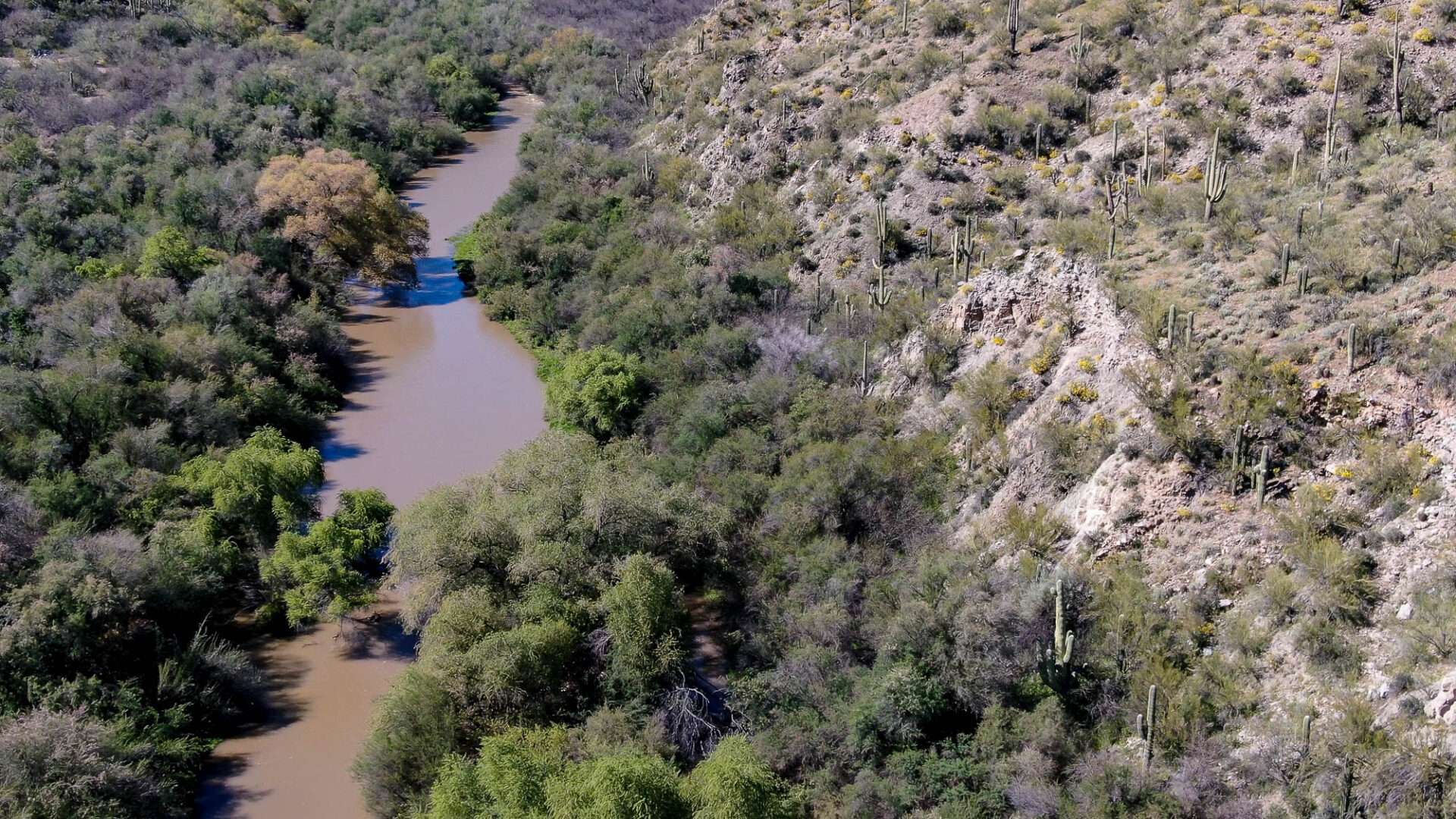 Gila River, Arizona drone video and photos - The Water Desk