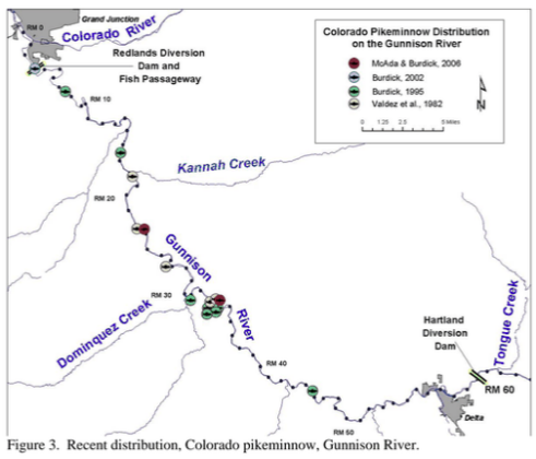 Gunnison River, with elevated selenium levels, faces review for ...