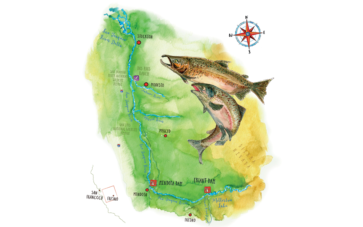 Can we save the San Joaquin’s salmon?