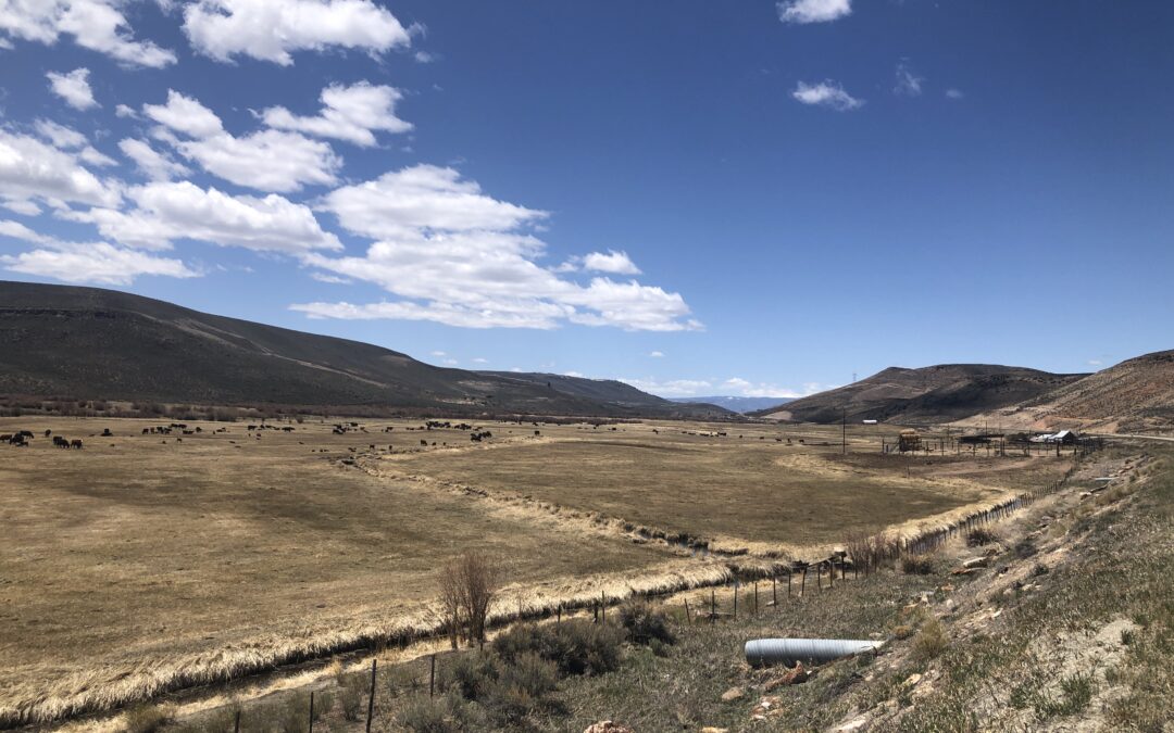 A centuries-old system determines who gets water first and last