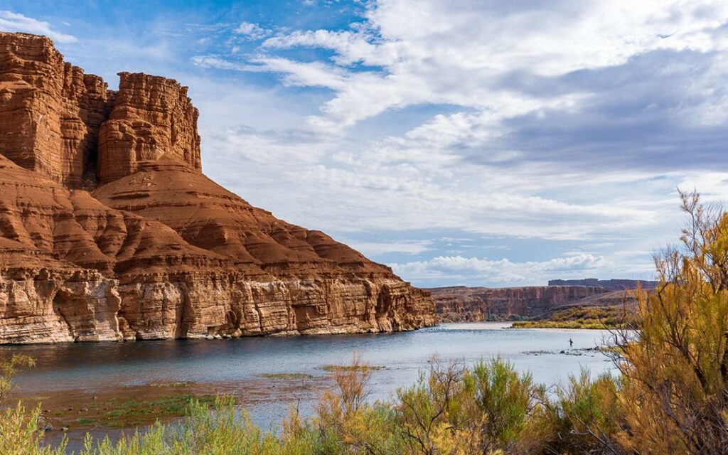 Can the Ancient Humpback Chub Hang On in Today's Grand Canyon?