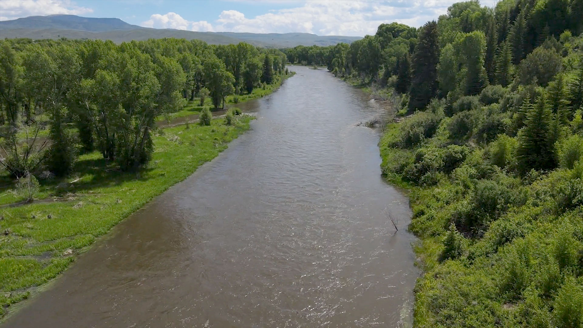 Saving a river - The Water Desk