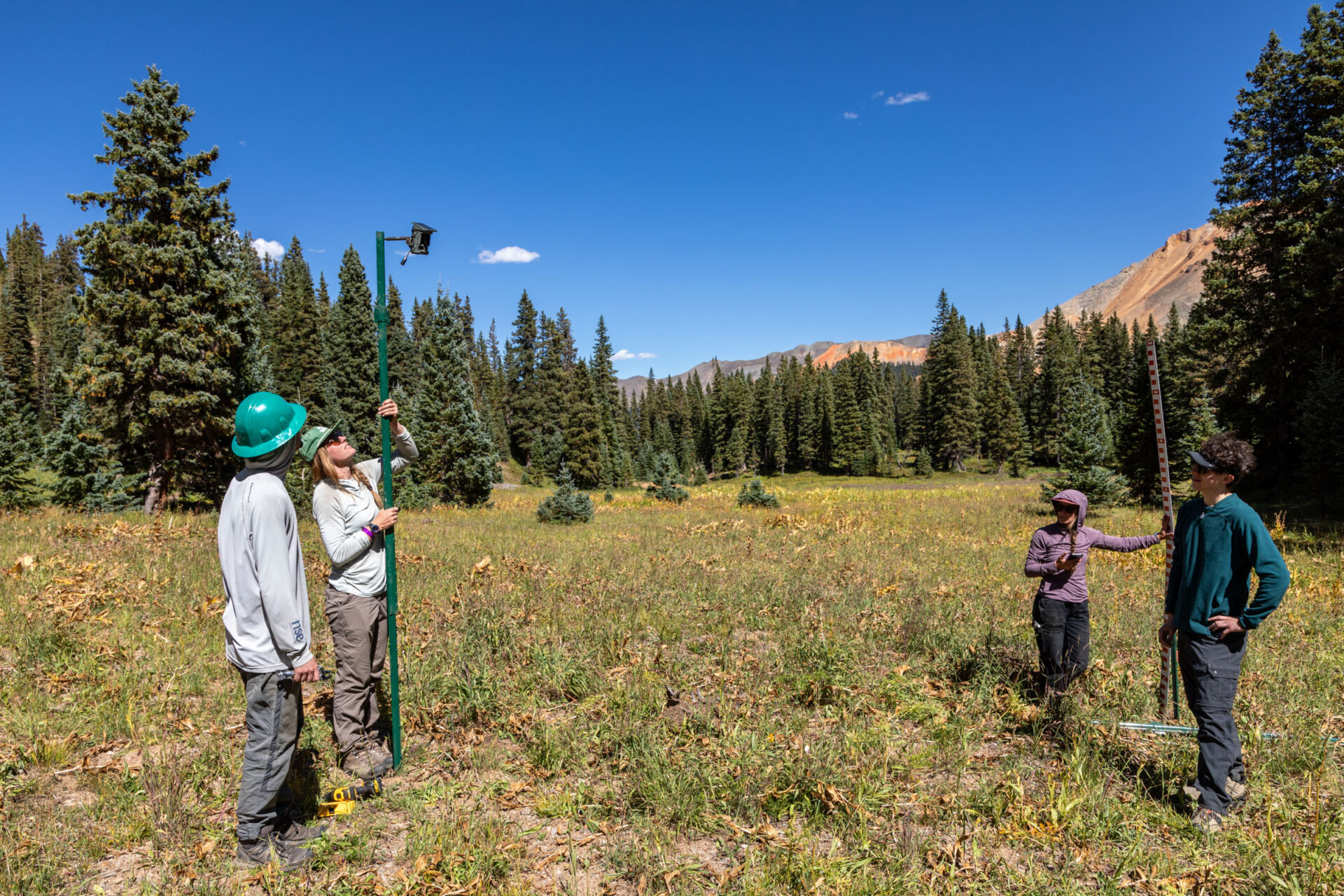 Scientists use simple cameras to answer complex questions about forests ...