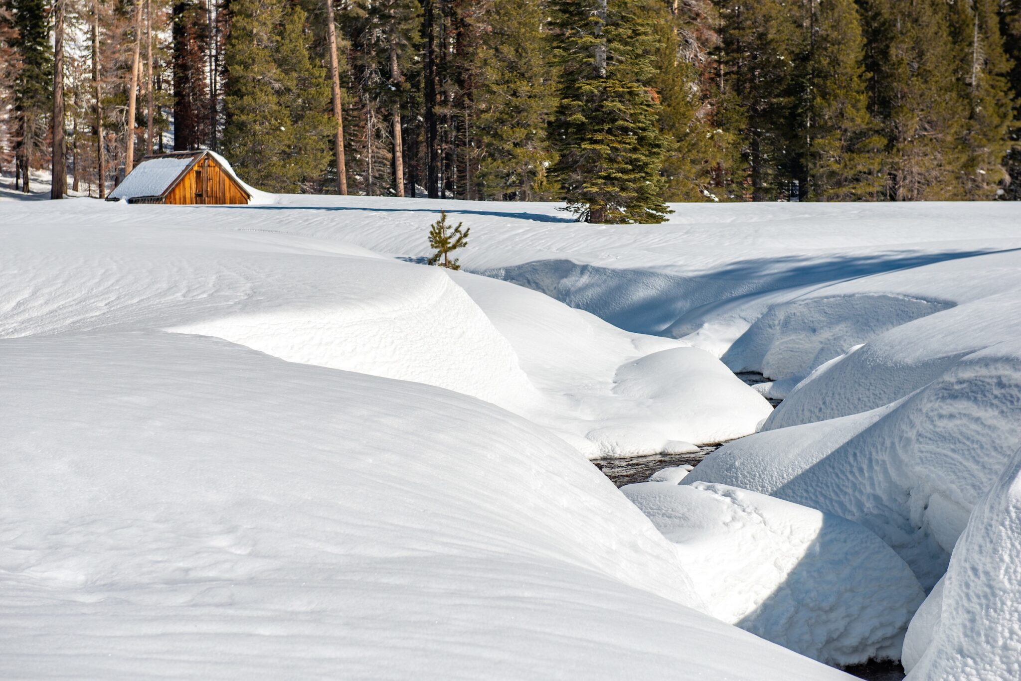 Q&A: Defining the “snow deluge” and projecting its future