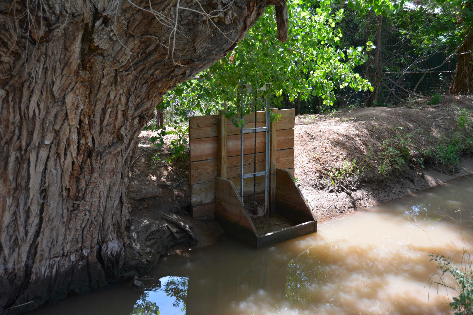 Can New Mexico’s Ancient Water System Survive Climate Change?