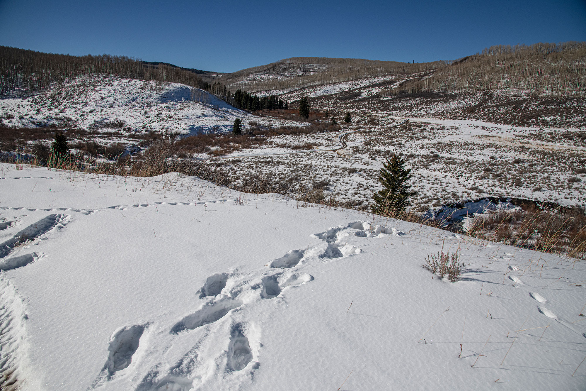 Colorado has big dreams to use more water from the Colorado River. But ...