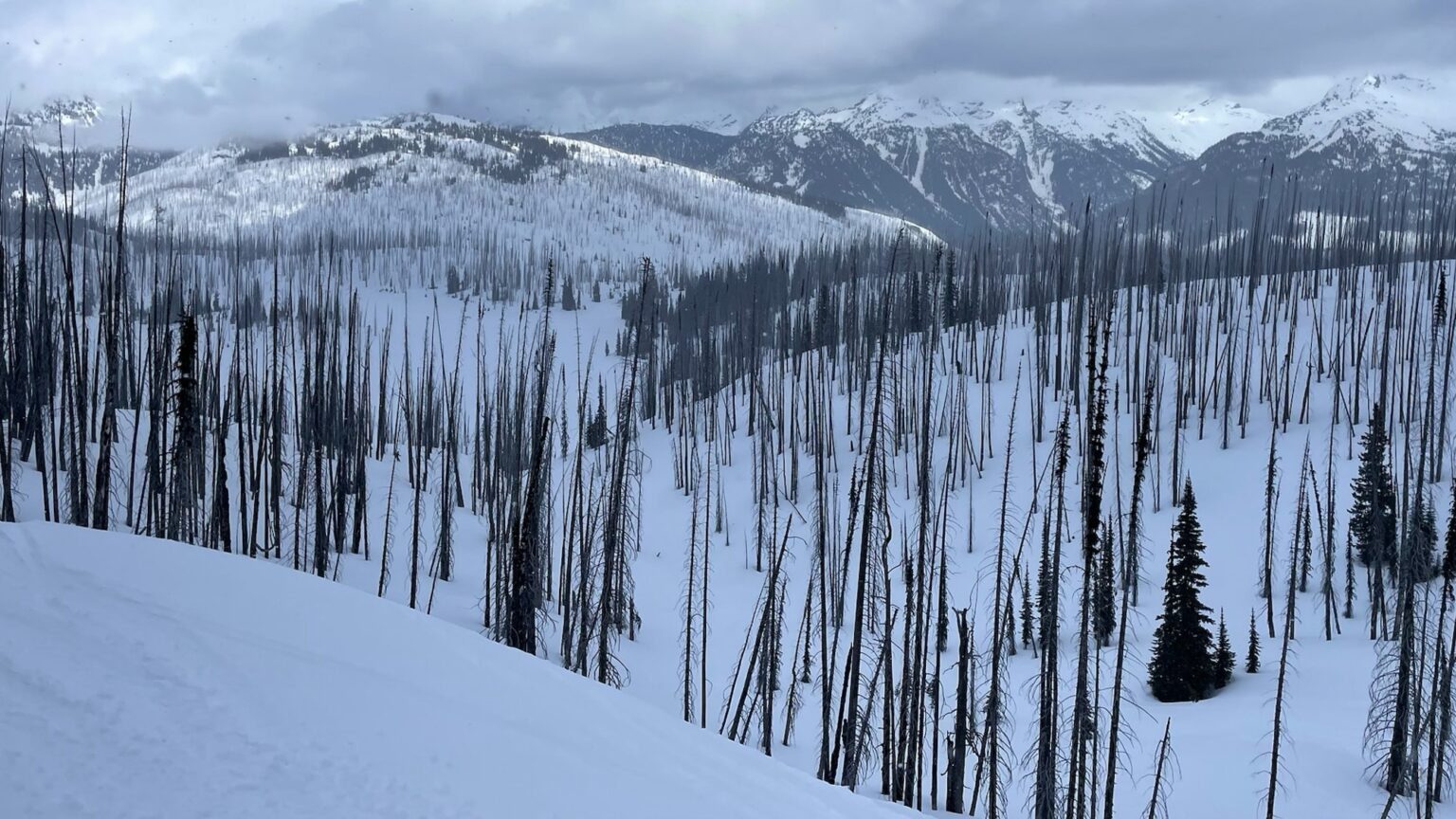 In burned forests, the West’s snowpack is melting earlier